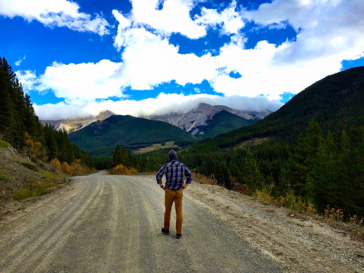 Roadtrip 2016: Auf der Forestry Trunk Road durch die Foothills! - Out ...